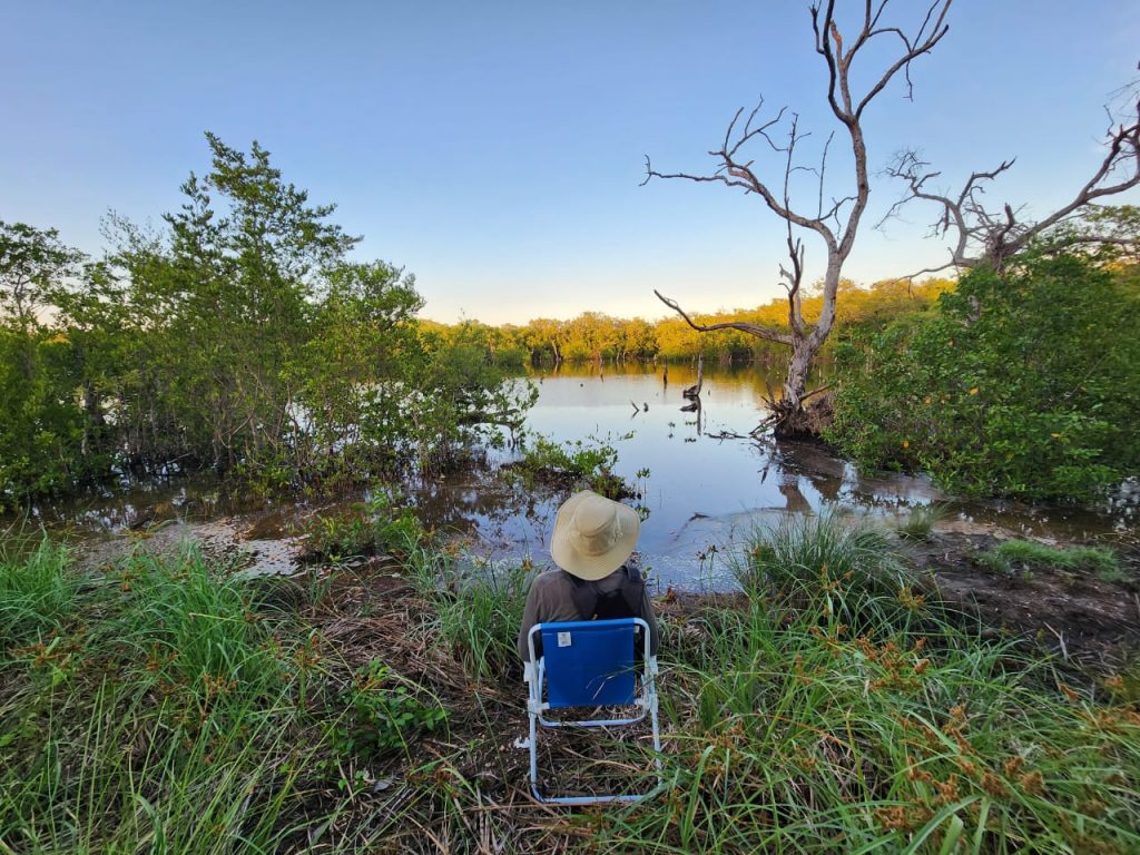 Reviews - Birdwatching Roatan