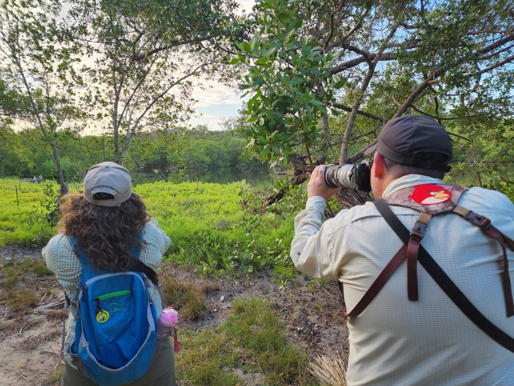Reviews - Birdwatching Roatan
