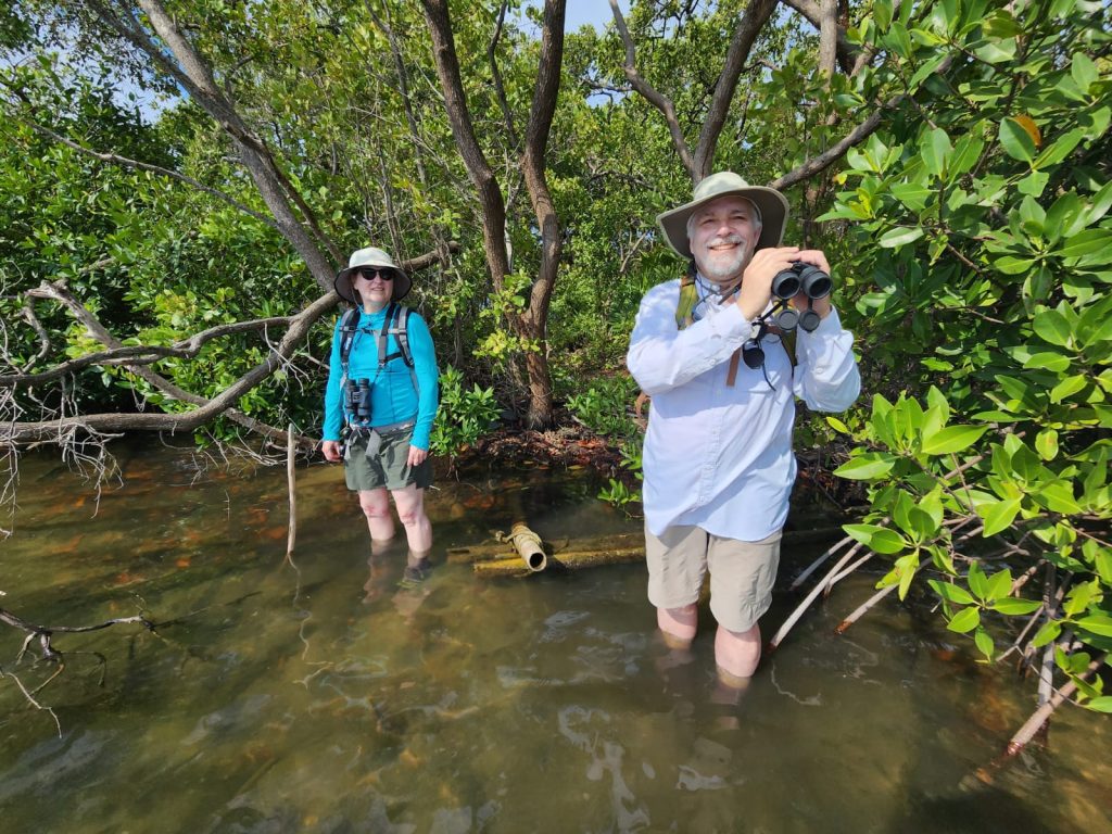 Reviews - Birdwatching Roatan