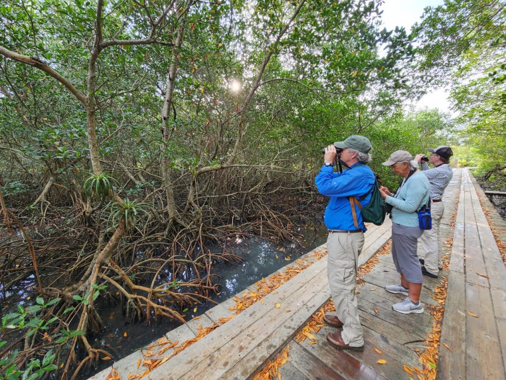 Reviews - Birdwatching Roatan