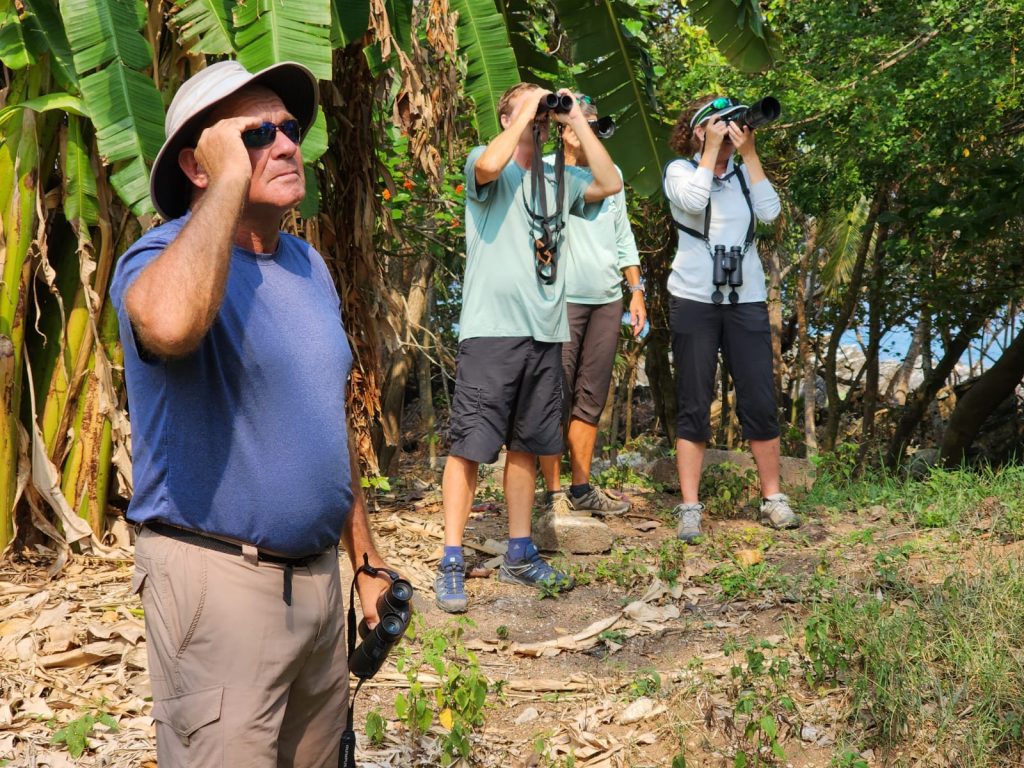 Reviews - Birdwatching Roatan