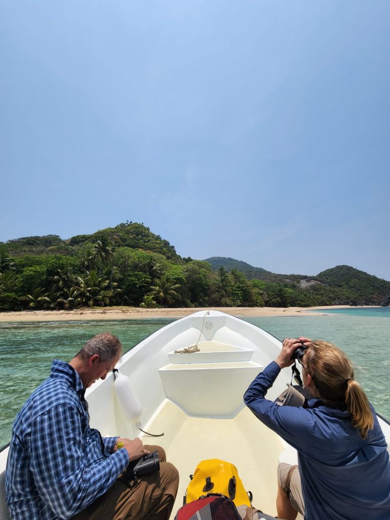 Reviews - Birdwatching Roatan