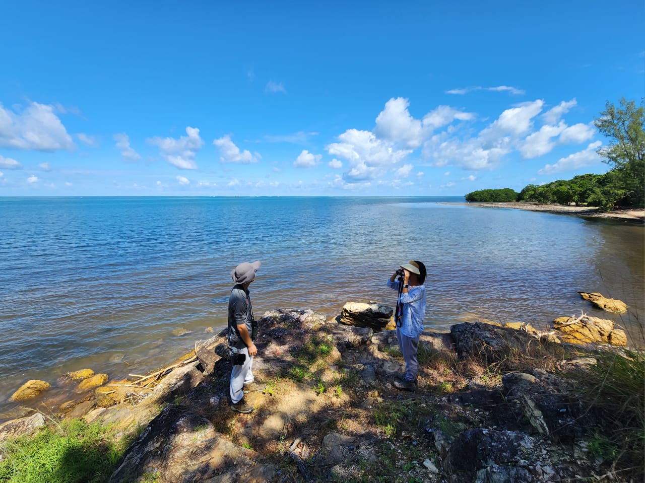Reviews - Birdwatching Roatan