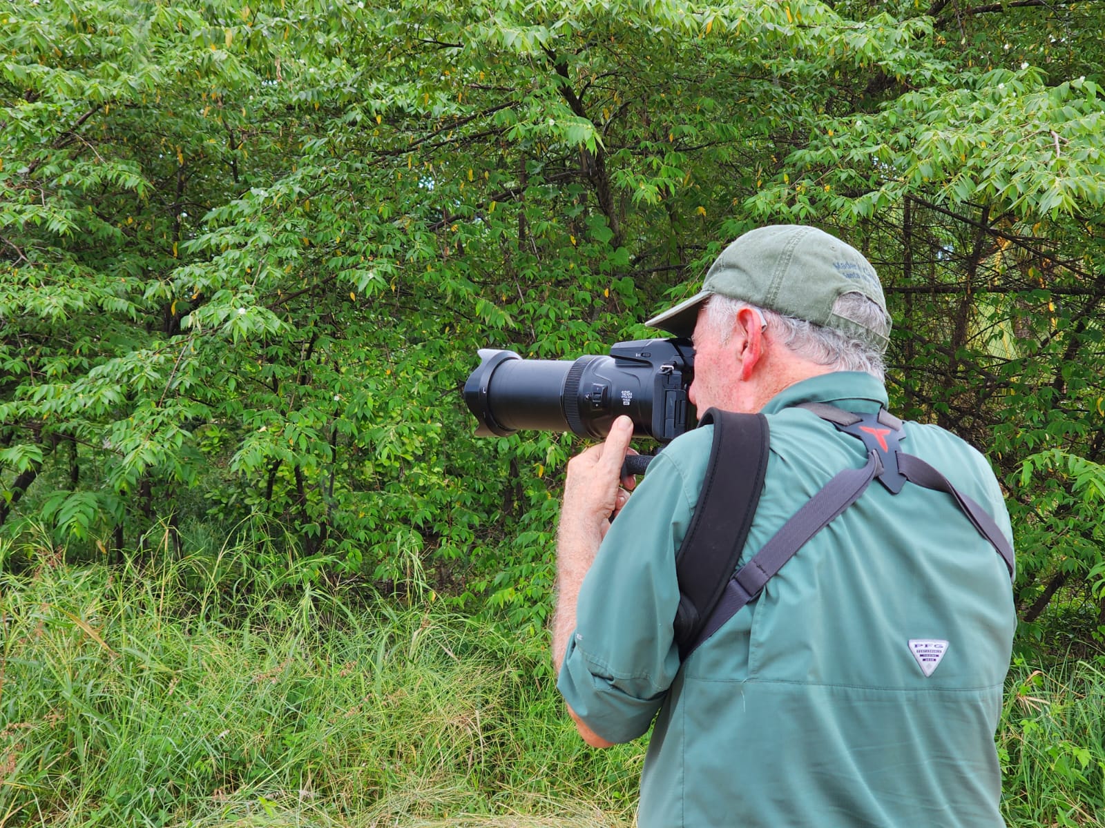 Reviews - Birdwatching Roatan