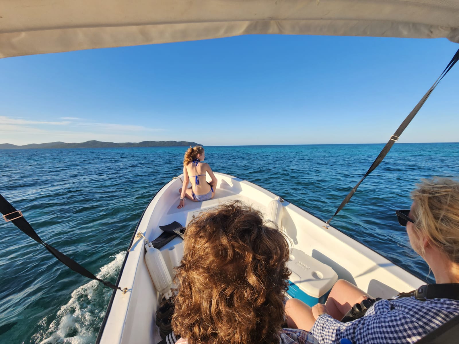 Reviews - Birdwatching Roatan