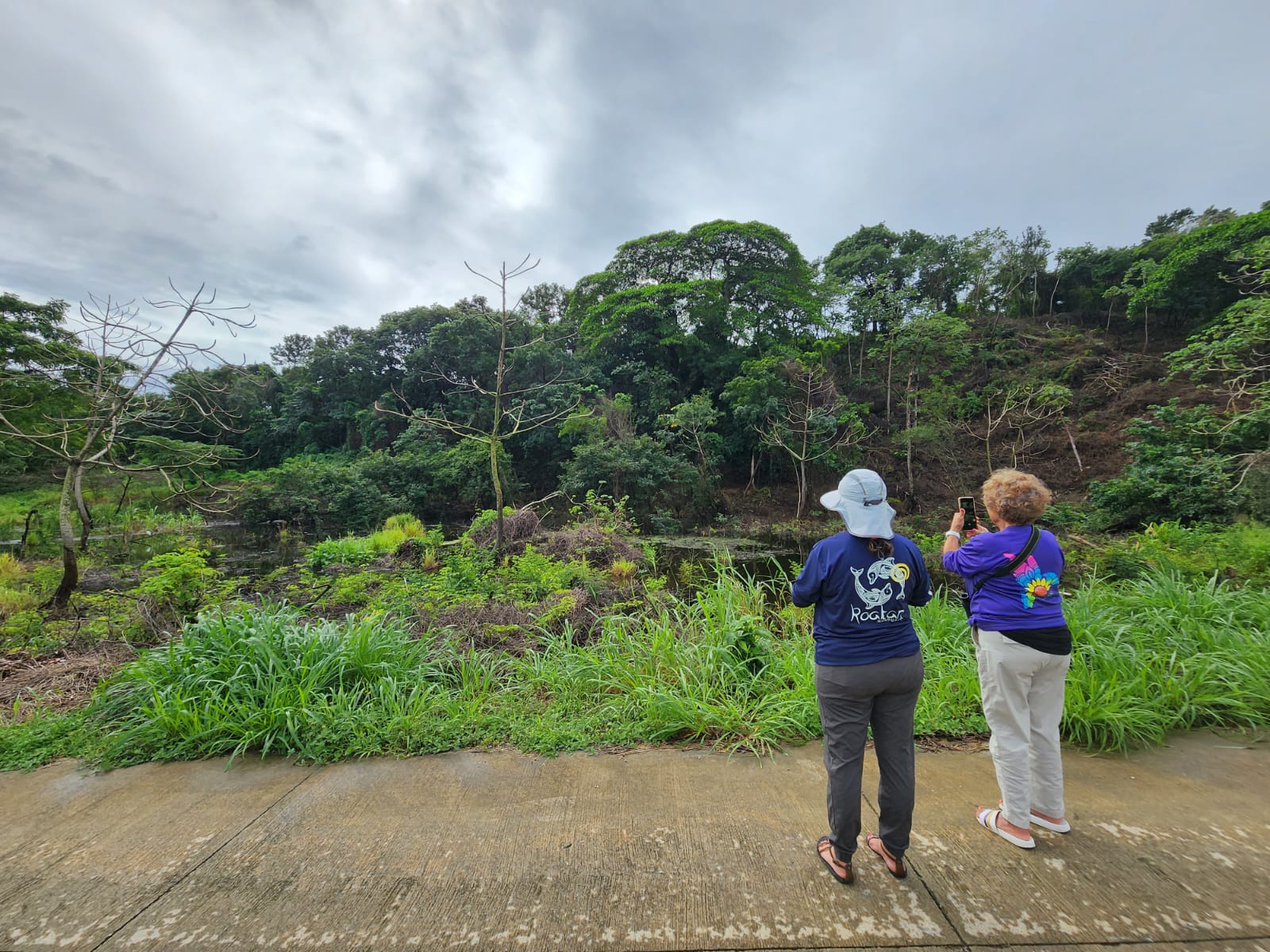 Reviews - Birdwatching Roatan