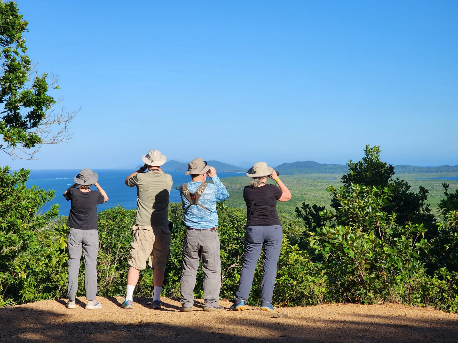 Reviews - Birdwatching Roatan